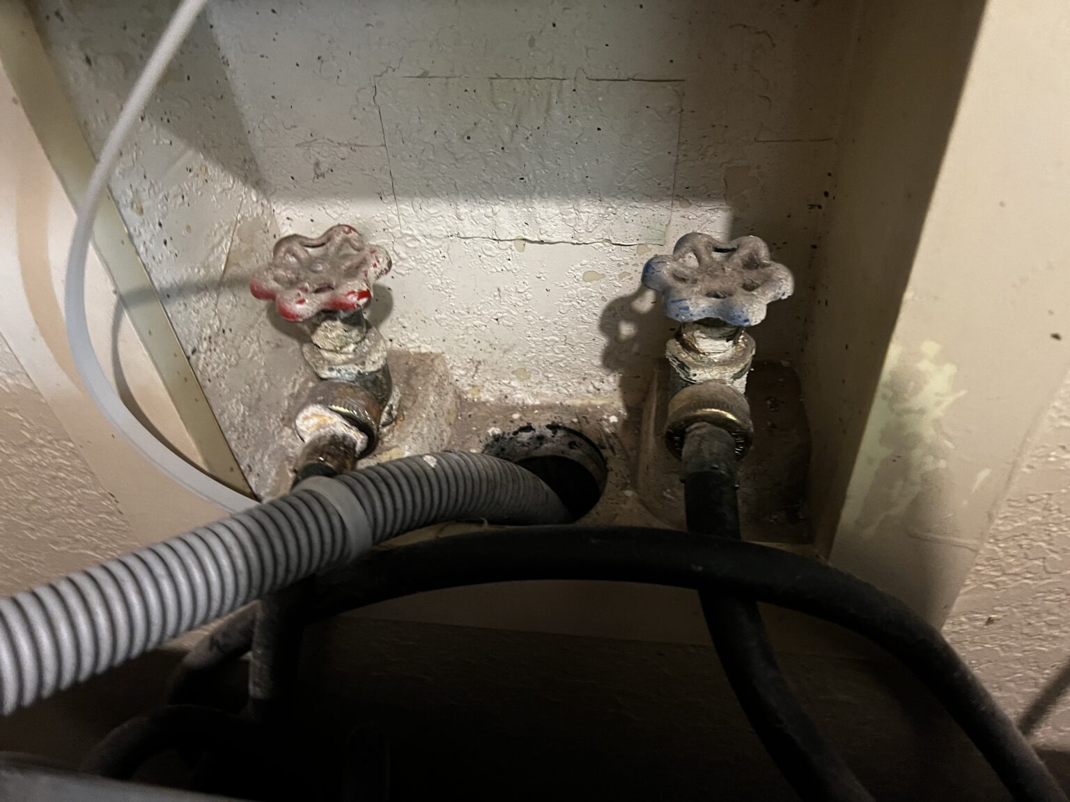 Laundry Detergent and Your Drains: Choosing the Right Option for Your ...